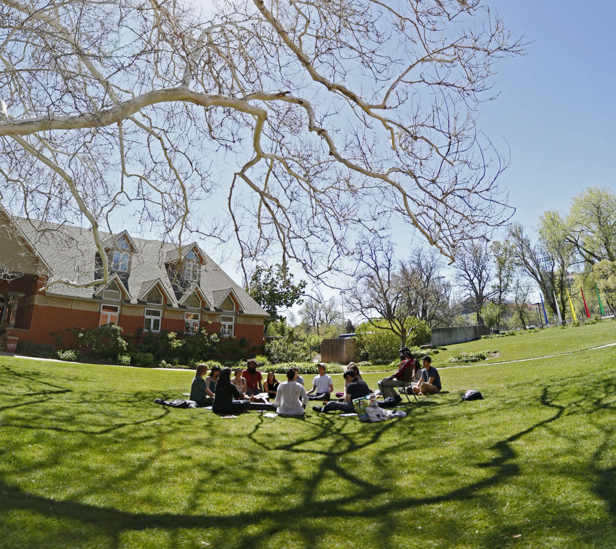 Naropa University Launches Psychedelic- Assisted Therapies Certificate ...